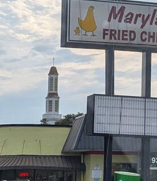 south carolina chicken liver ftr