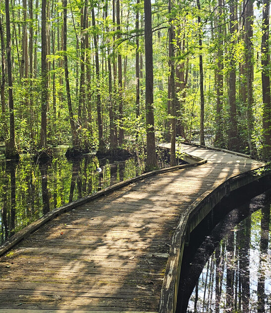 south carolina discover park ftr