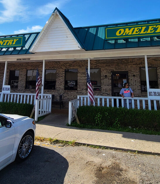 south carolina great diner ftr