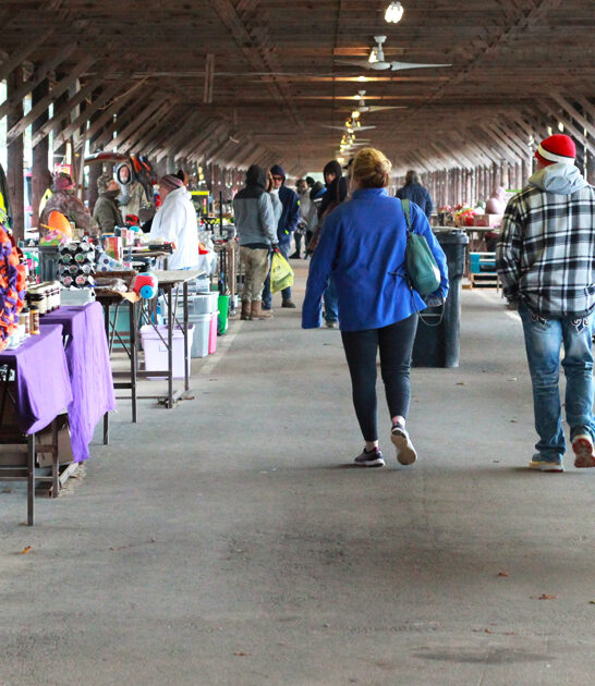 south carolina incredible finds ftr