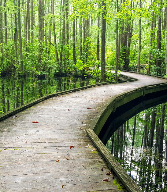 south carolina stunning park ftr