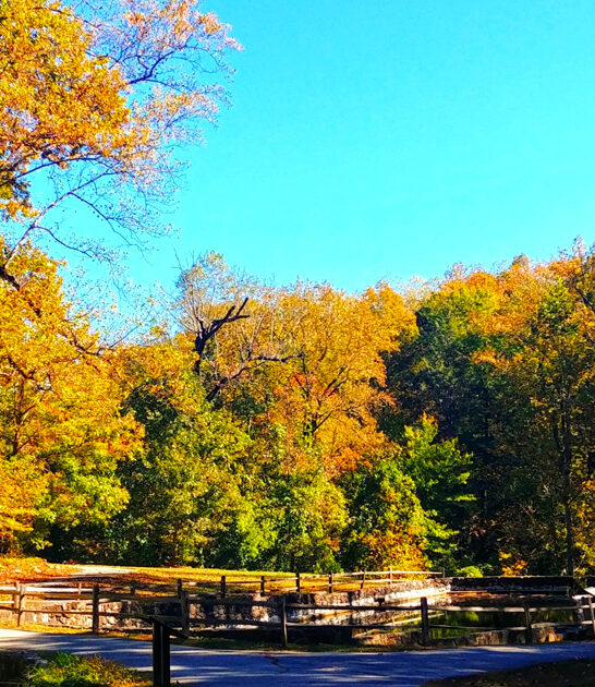 south carolina waterfall park ftr