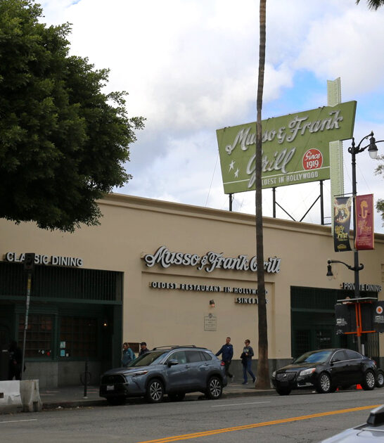 spaghetti meatballs california dream ftr