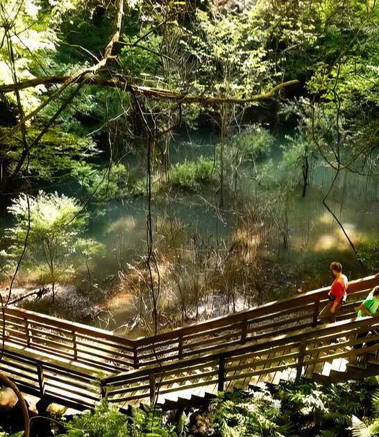 splendid state park florida ftr