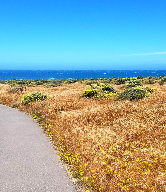 state california park ftr