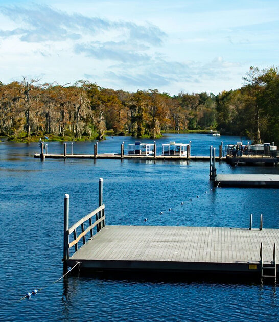 state florida park trips ftr