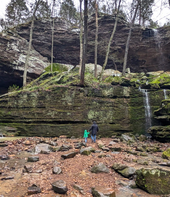 state illinois park ftr