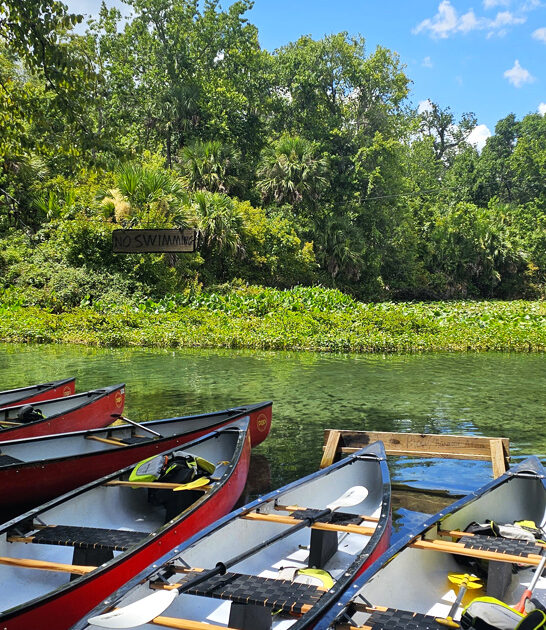 state park florida huge ftr