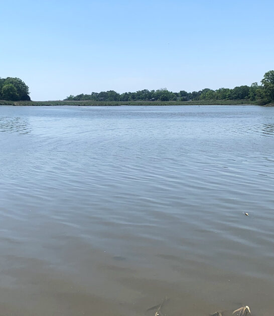 state park maryland underrated ftr