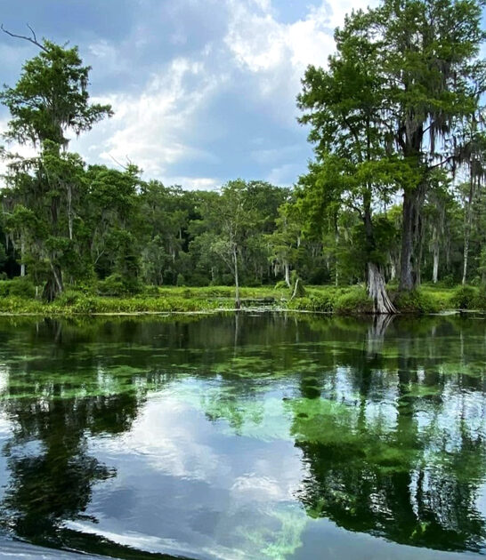 state surreal park florida ftr