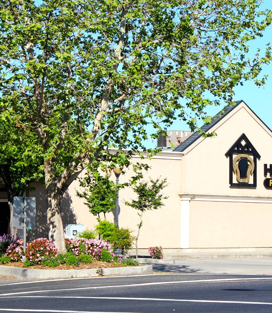 steakhouse california porterhouse steak ftr