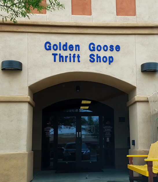 store arizona fantastic thrift ftr