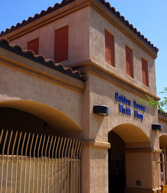 store arizona massive thrift ftr