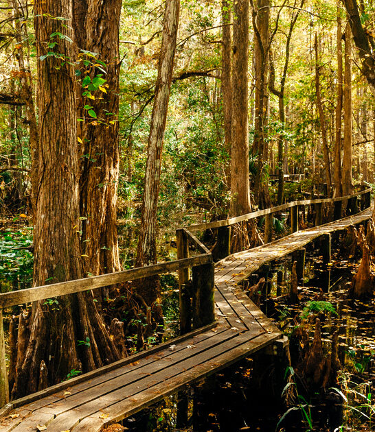 stress free park florida ftr