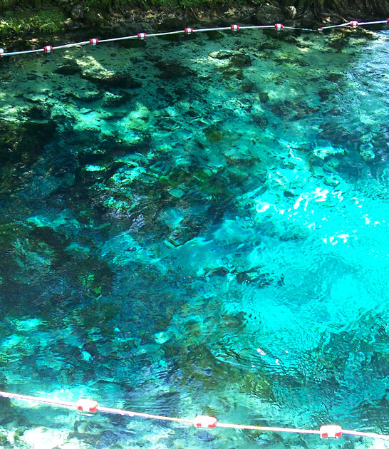 stunning florida natural spring ftr