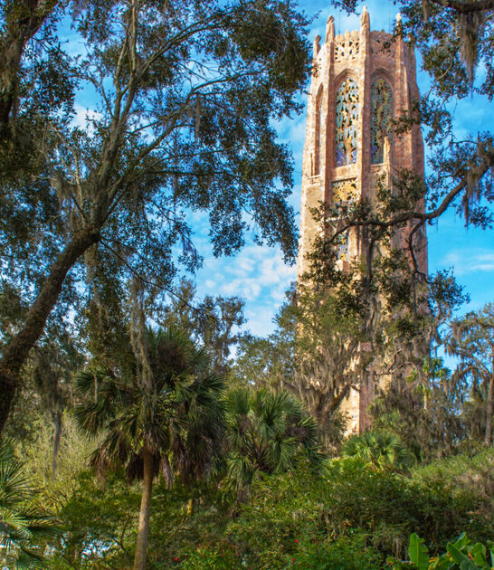 stunning garden florida beautiful ftr