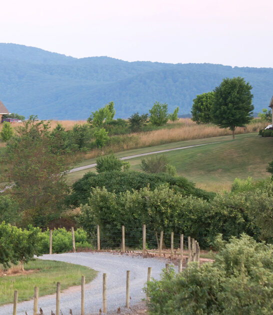 stunning mountains georgia towns ftr