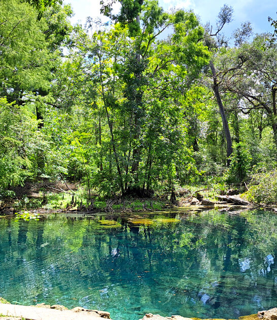 stunning natural florida spring ftr