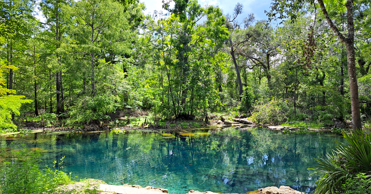 This Stunning Natural Spring In Florida That’s Perfect For A Wallet ...