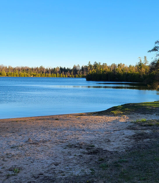 stunning park michigan hidden ftr