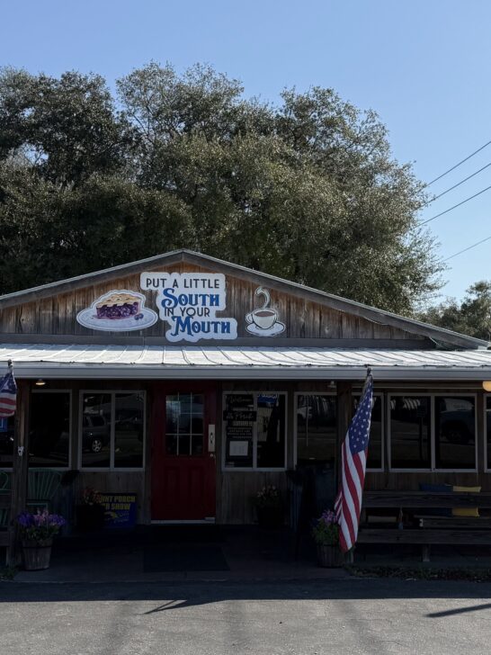 succulent florida fried chicken ftr