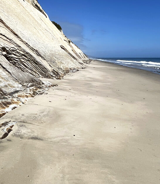 surreal california beach ftr