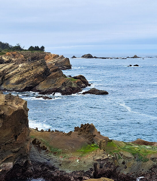 surreal nature park oregon ftr