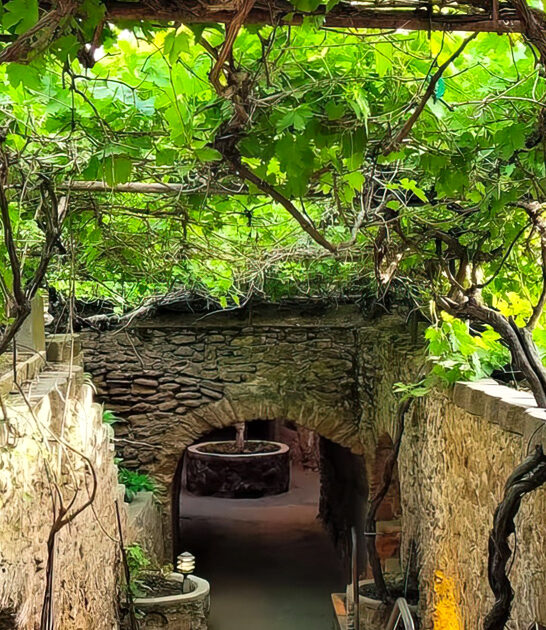 surreal underground garden california ftr
