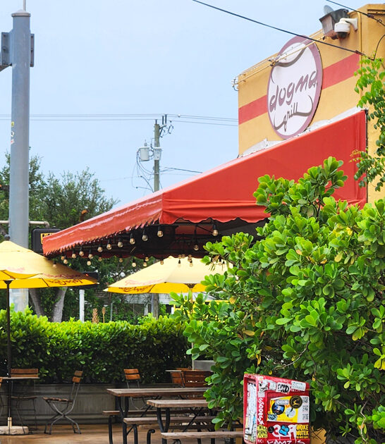 taste florida best cheesesteak ftr