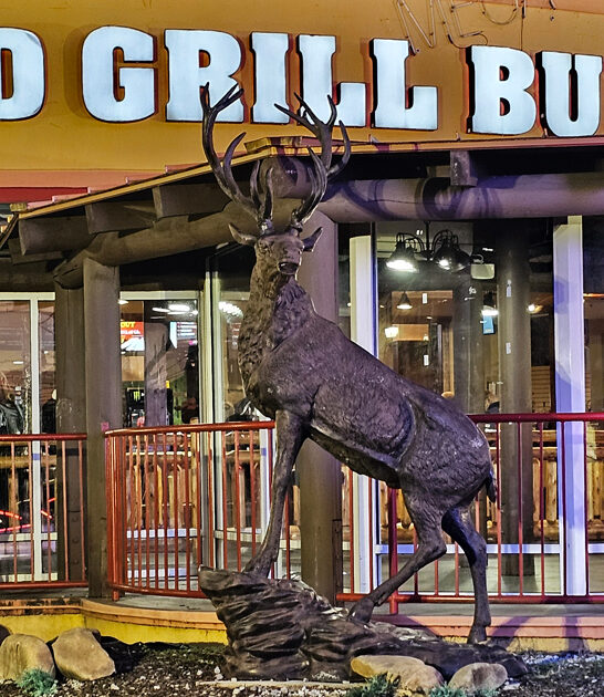 taste tennessee ribs restaurant ftr