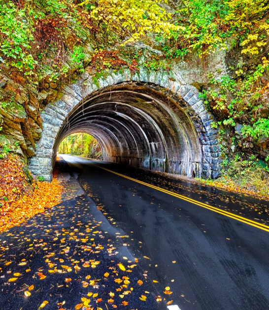 tennessee dreamy road trips ftr