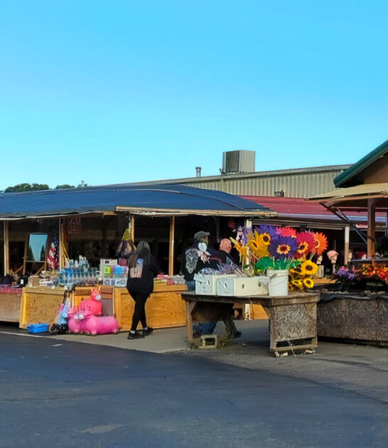 tennessee good flea market ftr