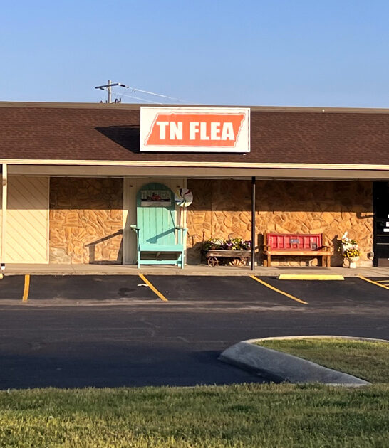 tennessee massive flea bargain ftr