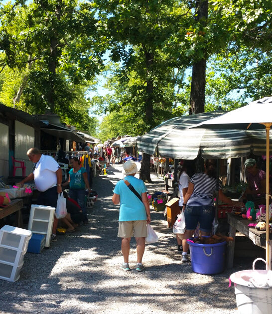 tennessee true bargain hunting ftr