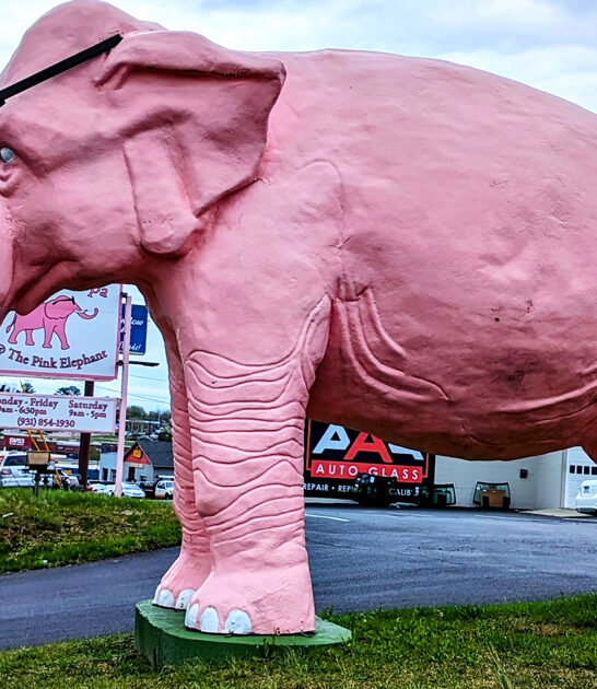 tennessee wacky roadside attraction ftr