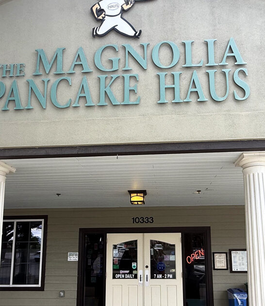 texas chicken waffles legend ftr