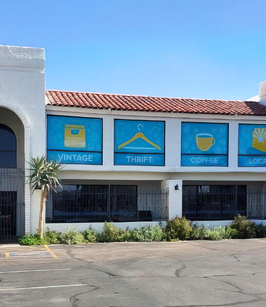 thrift bargain store arizona ftr