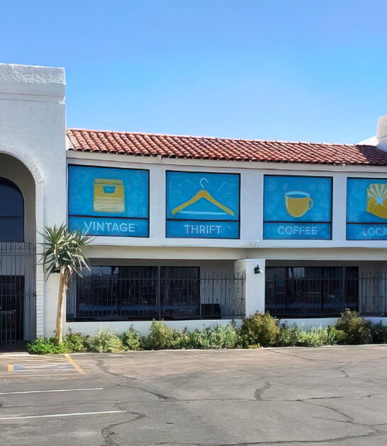 thrift better store arizona ftr