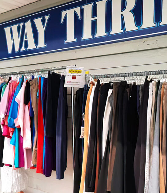 thrift great store delaware ftr