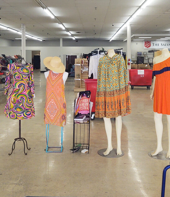 thrift shopping south carolina ftr