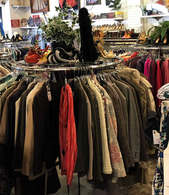 thrift store california dreams ftr