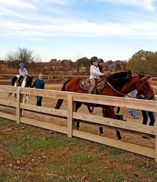 tiny amish tennessee comfort ftr