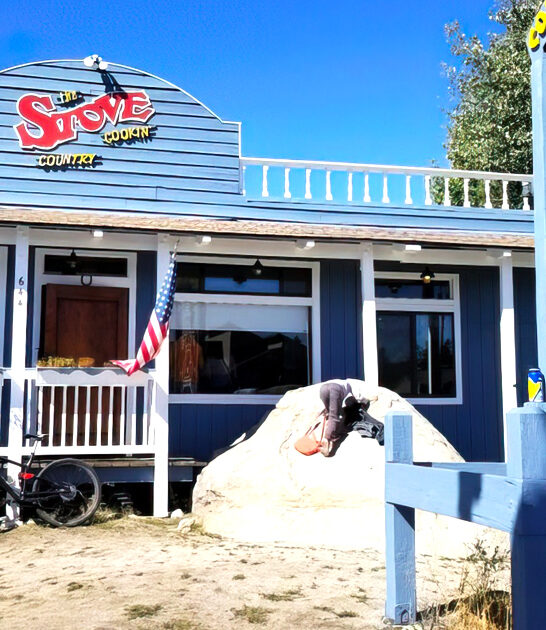 tiny diner california delicious ftr