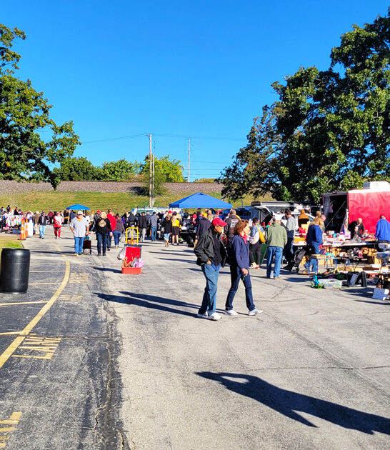 treasure flea market missouri ftr