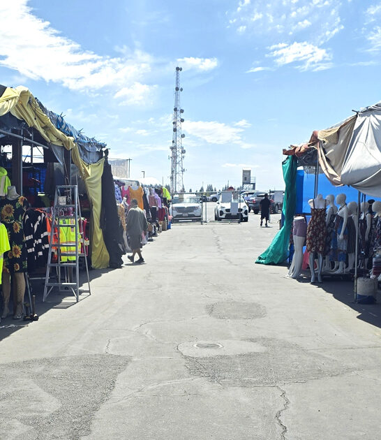 treasure hunting california market ftr