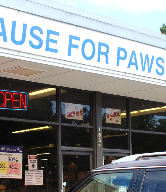 treasure shops north carolina ftr