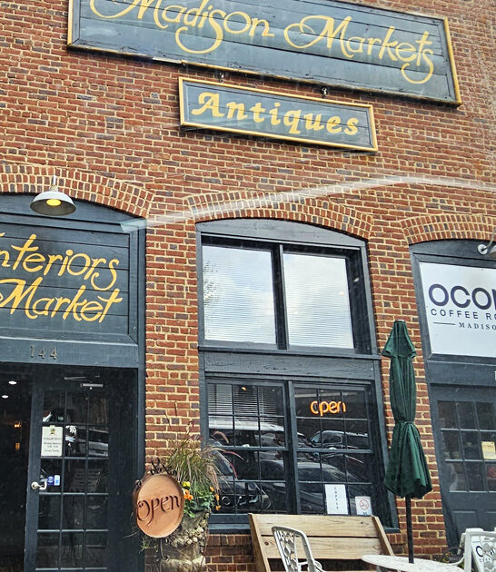 treasures antique store georgia ftr