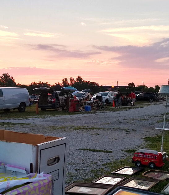 treasures illinois flea market ftr