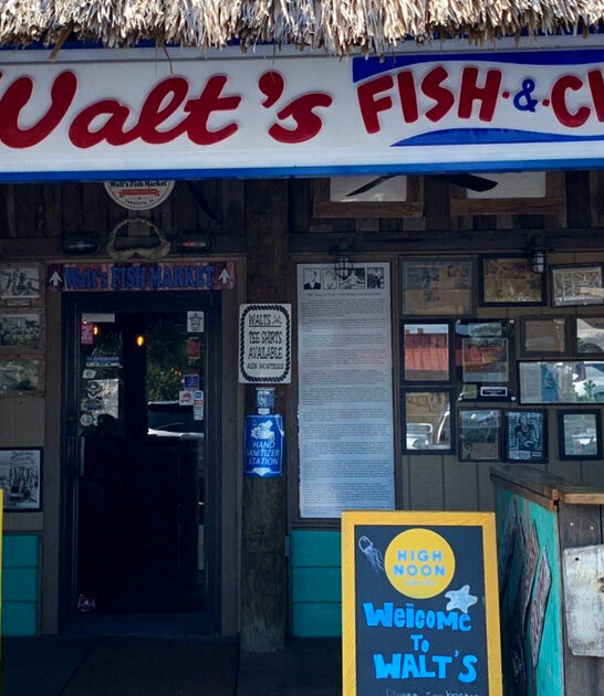 trip worthy oysters florida ftr