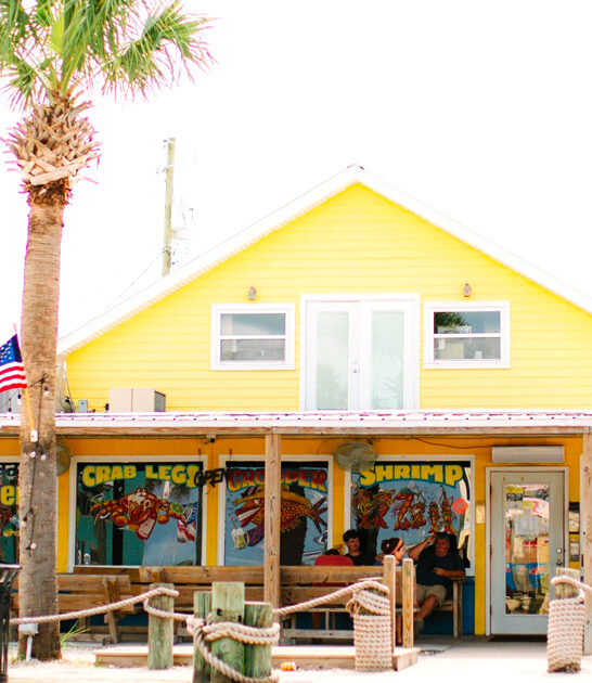 unassuming florida gator tail ftr